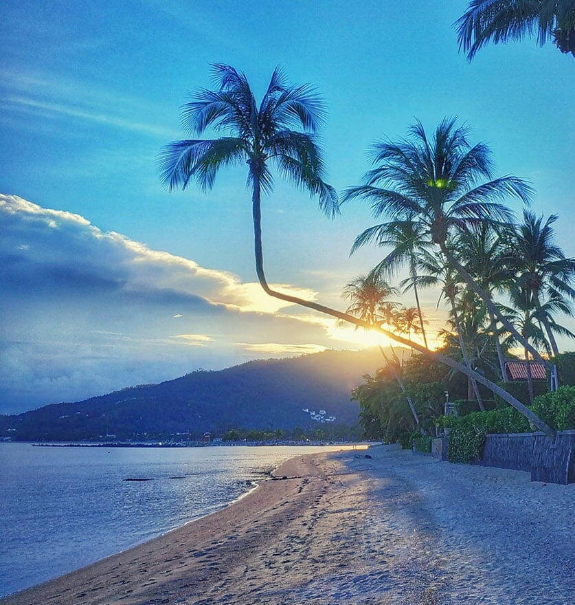 Tropical-Beach | Al Madina Institute of Knowledge
